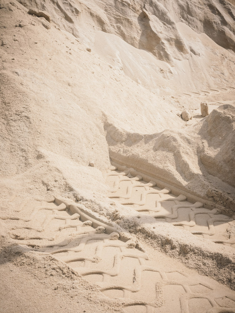 FOTODOKS — Maria Sturm How to Kill a Tree