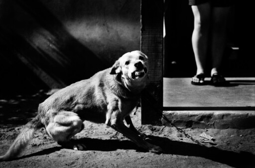 Fotodoks — Margaret De Langesurrounded By No One
