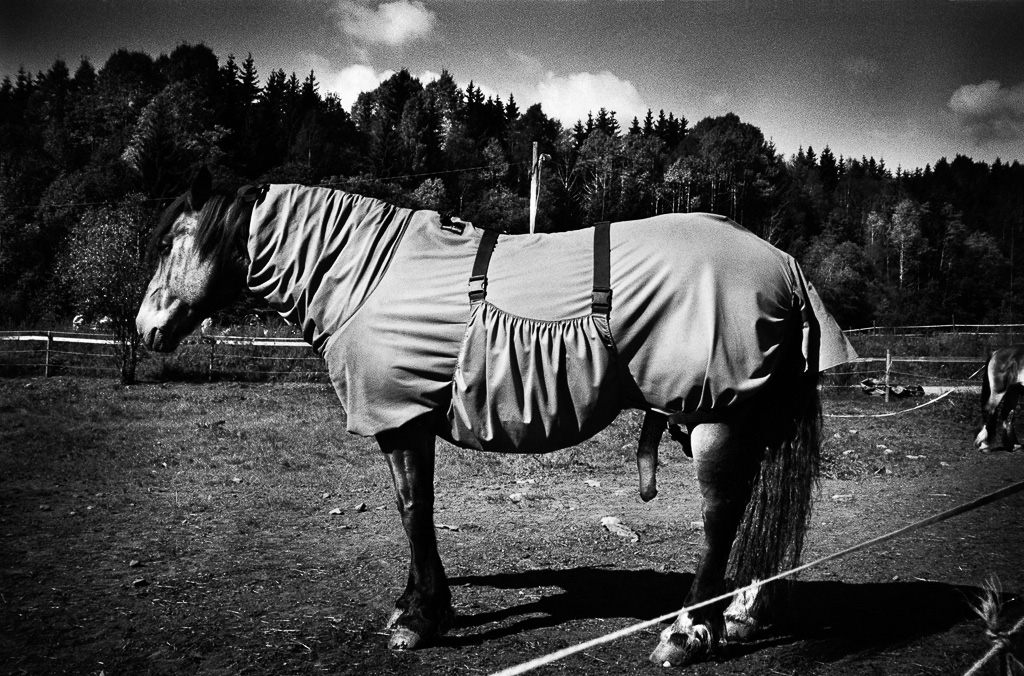 Fotodoks — Margaret De Langesurrounded By No One